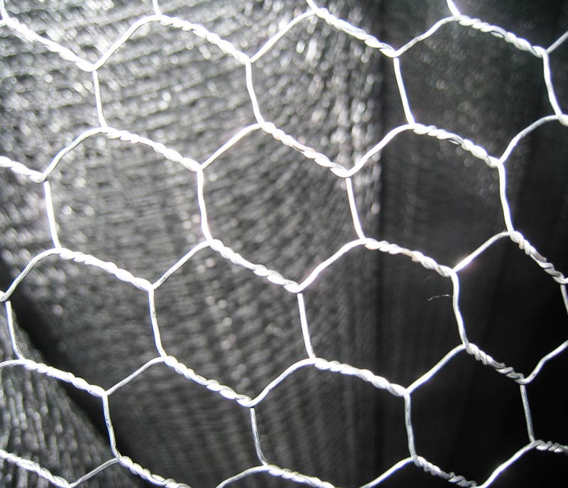 Hexagonal Wire Mesh